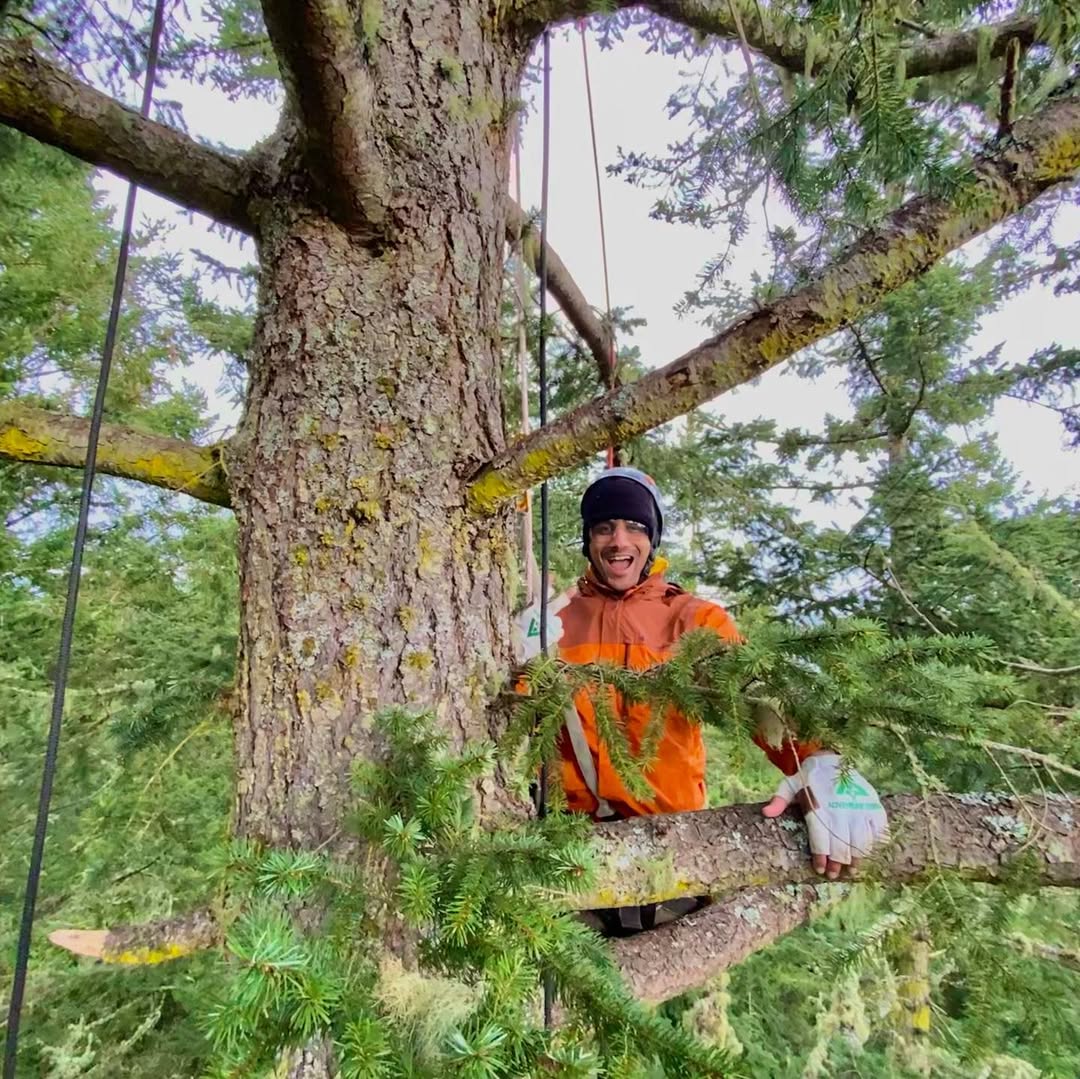 Tree Climbing in Lopez Island